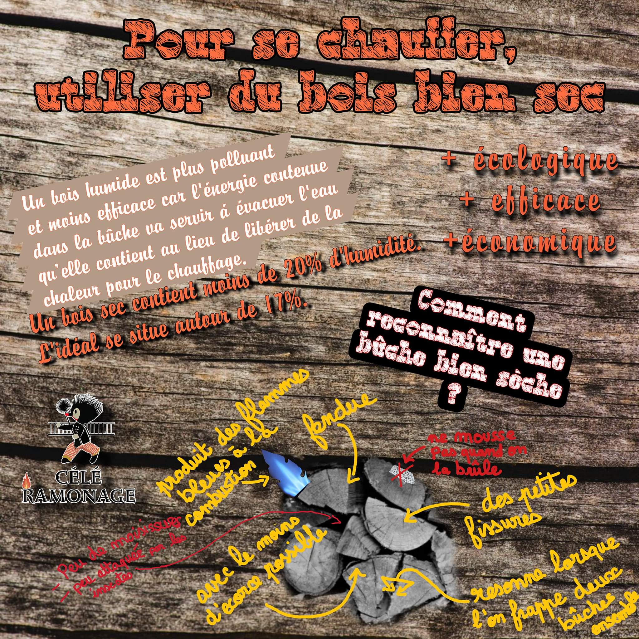 Un bon bois sec🪵 – Célé Ramonage – Ramoneuse qualifiée et passionnée